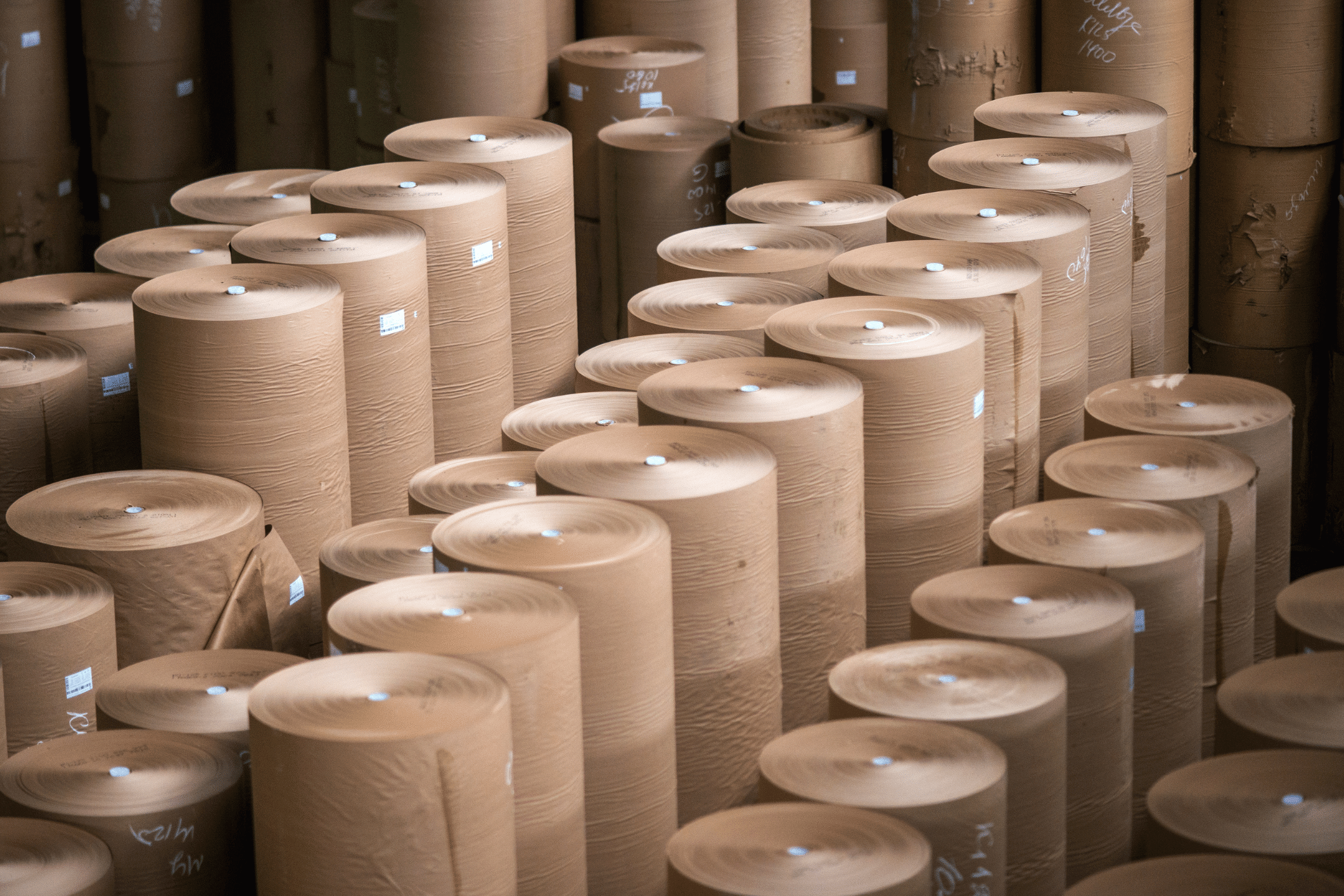 Unveiling the Versatility of Kraft Liner Rolls | Ocean Ridge Group
